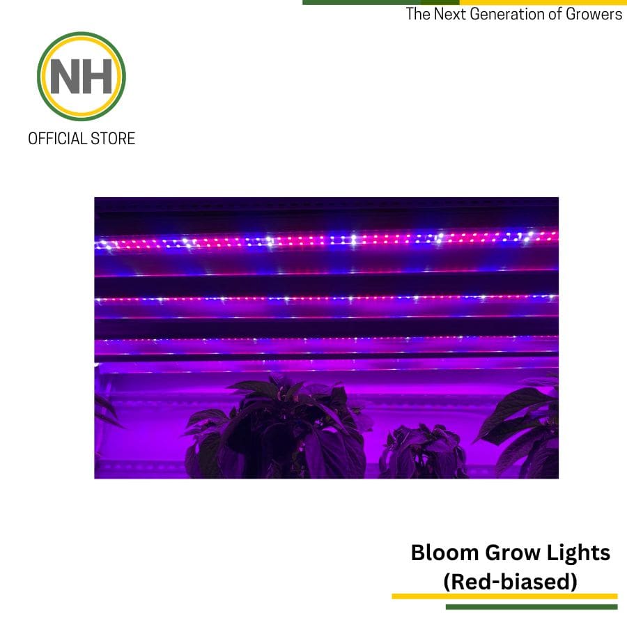 Bloom Grow Light | NutriHydro