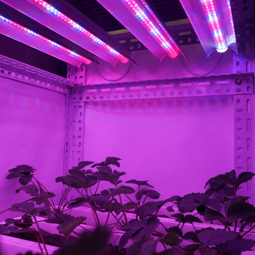 Lighting Up Growth in the ISS Veggie Plant Growth System | NutriHydro